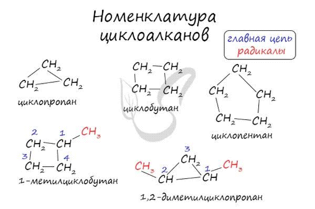 ЦИКЛОАЛКАНЫ