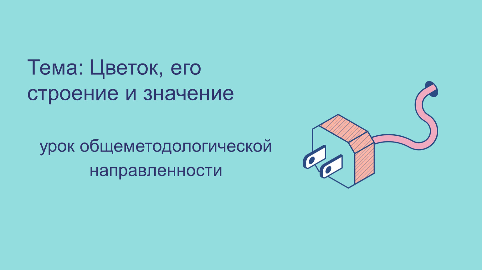 Открытый урок по биологии в 6 классе по биологии по теме Цветок его