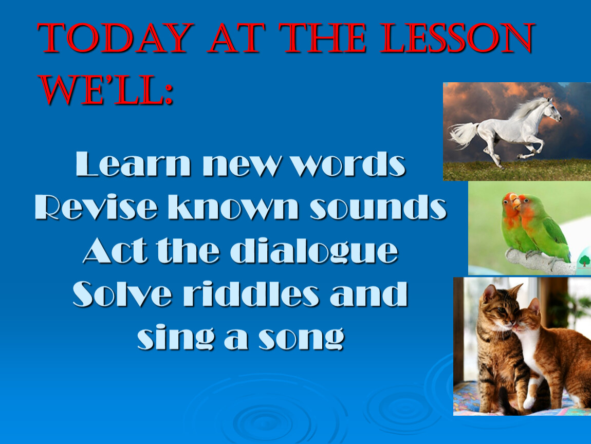 Презентация "Pets and other animals"